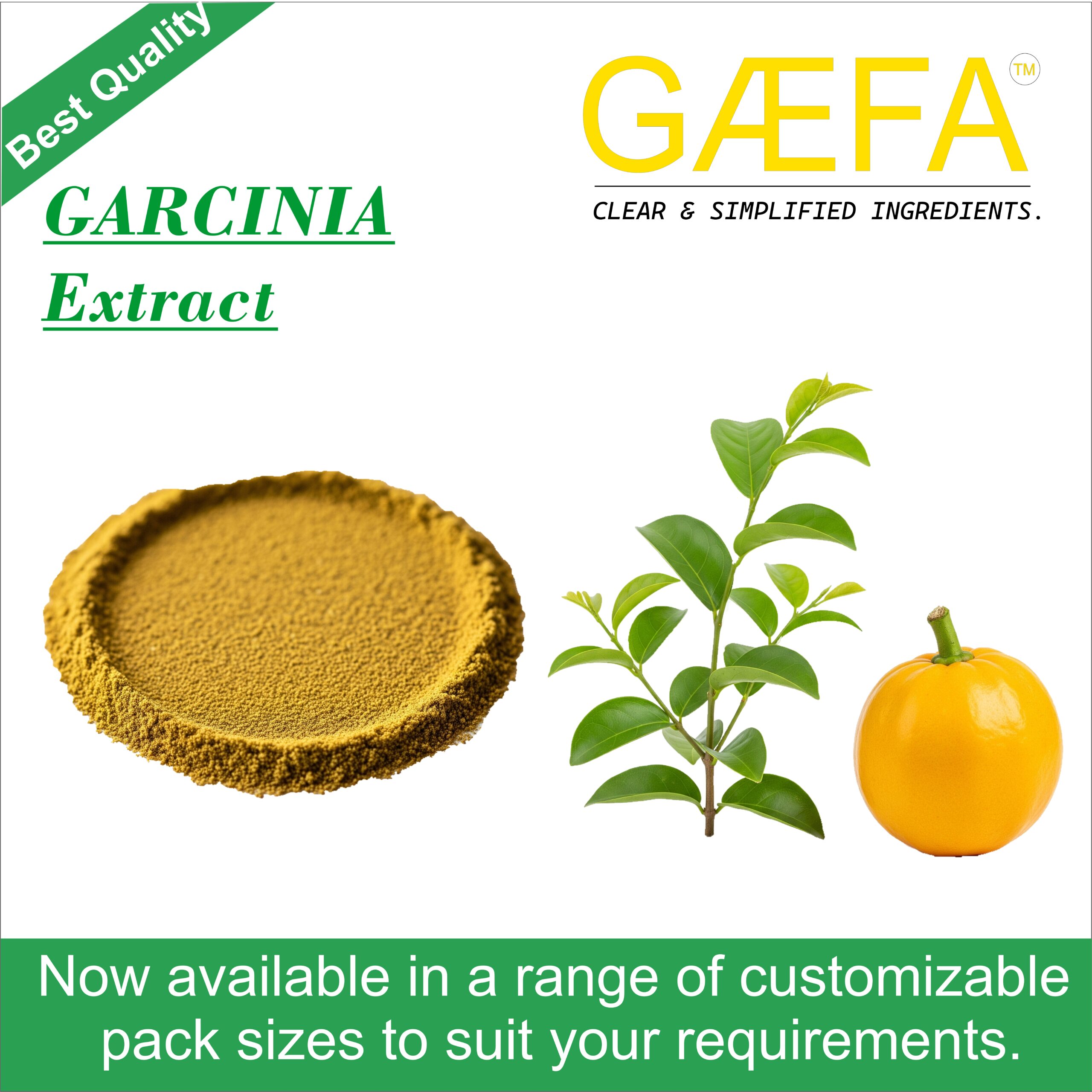 Garcinia Extract